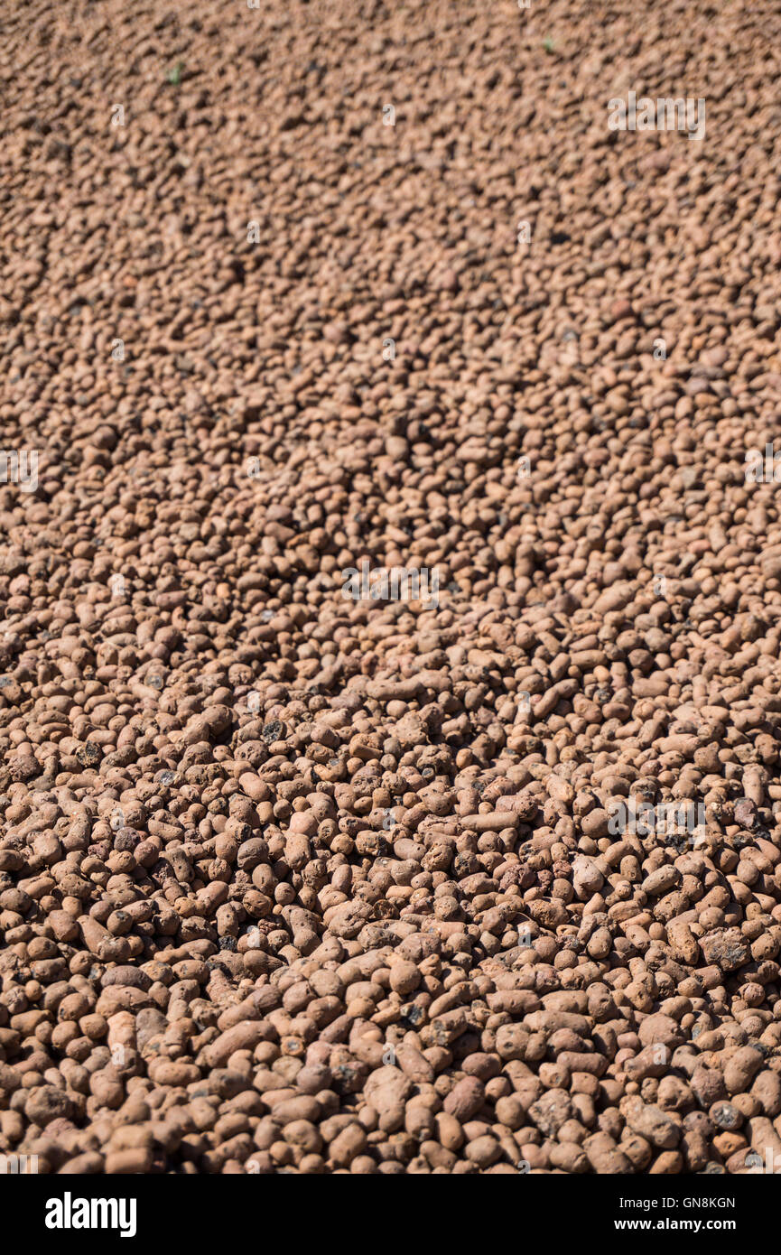 Expanded clay aggregate. Used in construction for insulation and ...