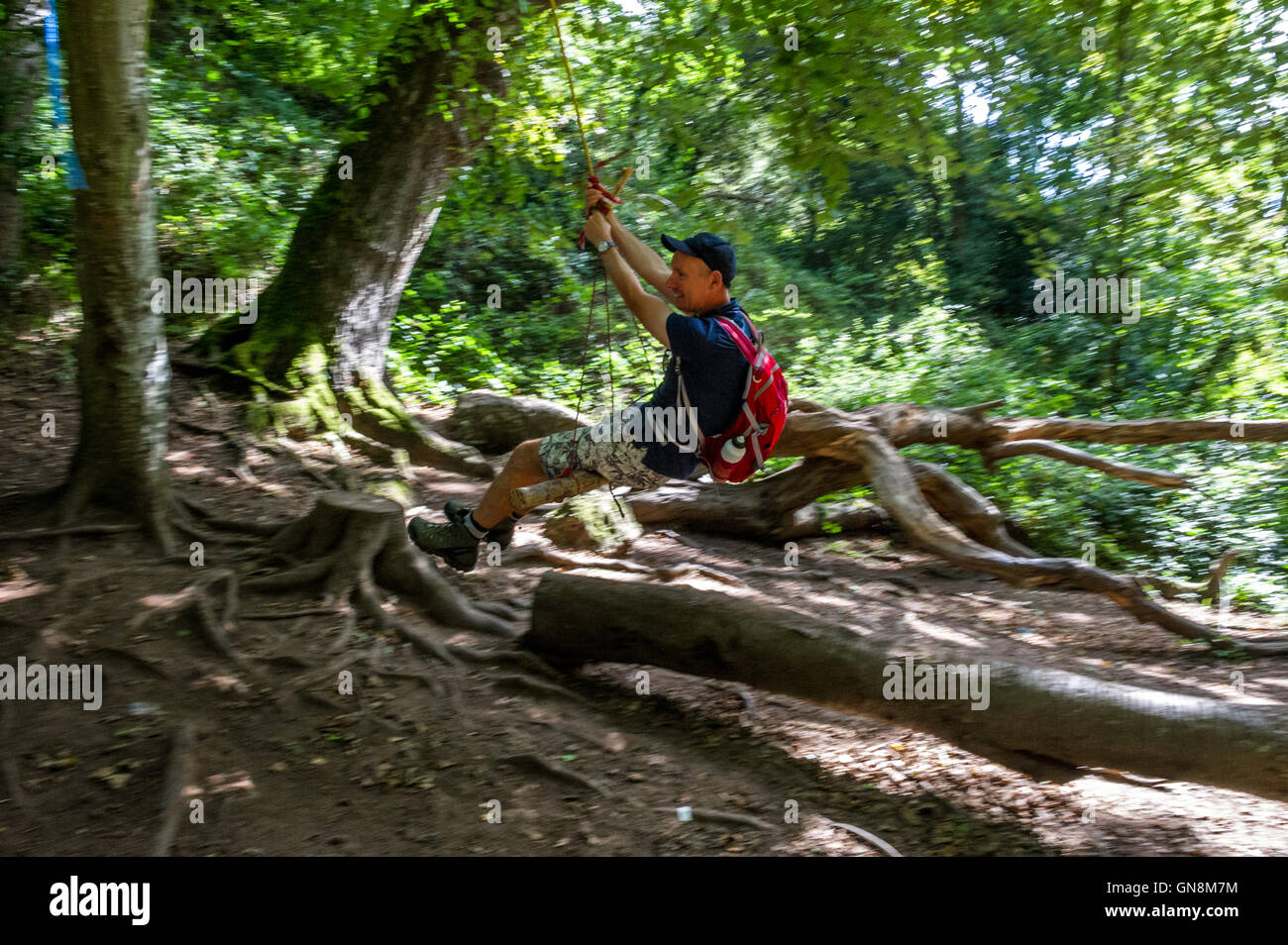 Man swinging on a rope swing in woodland setting Stock Photo - Alamy