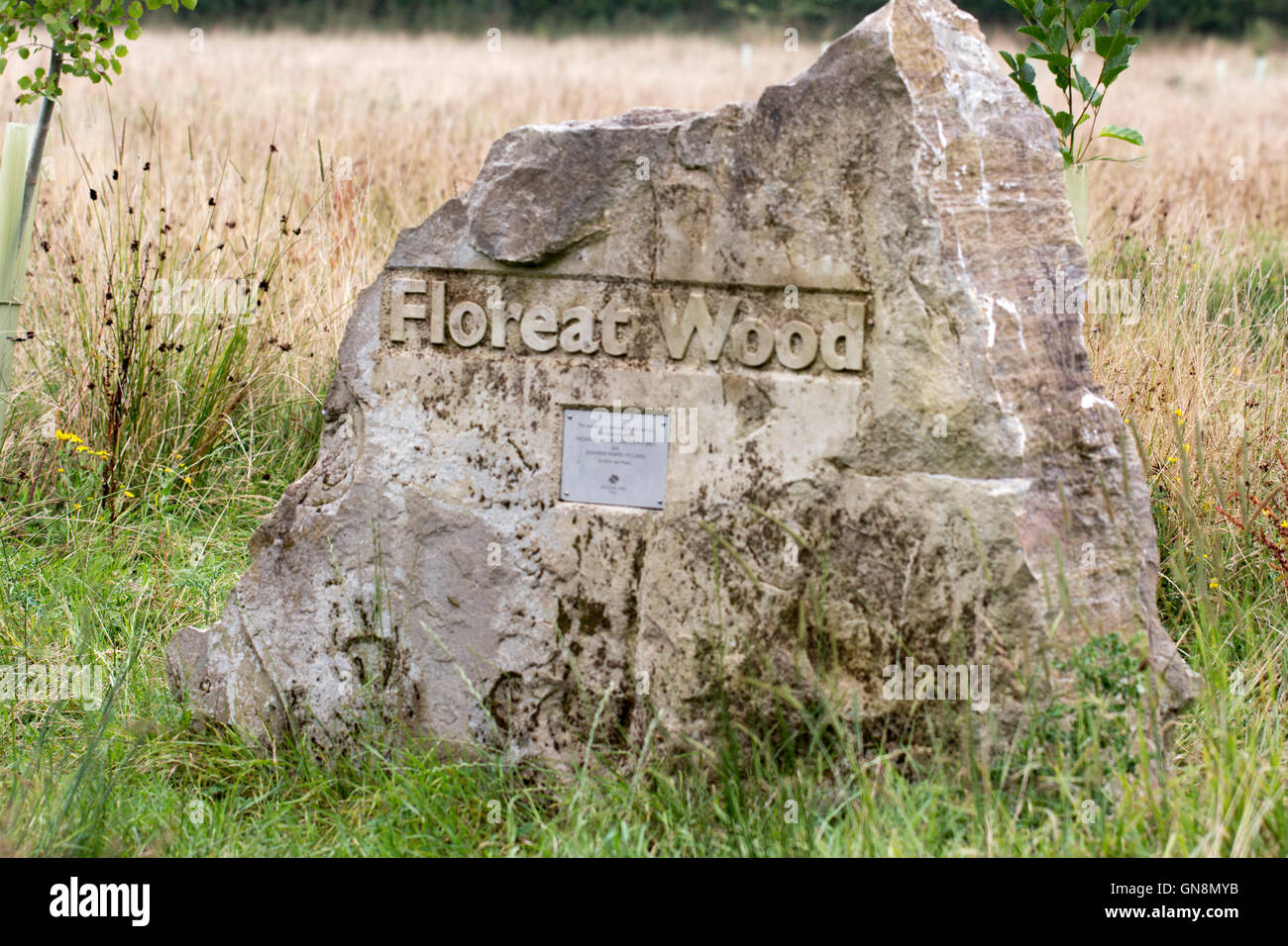 Floreat High Resolution Stock Photography and Images - Alamy