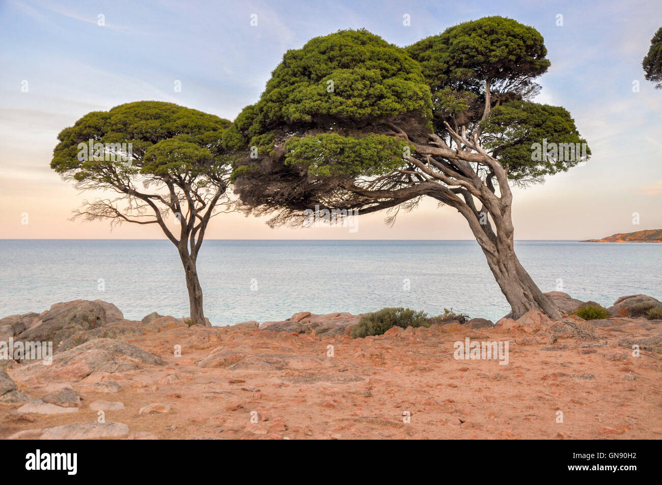 Indian Ocean seascape at twilight with coastal trees at the secluded ...