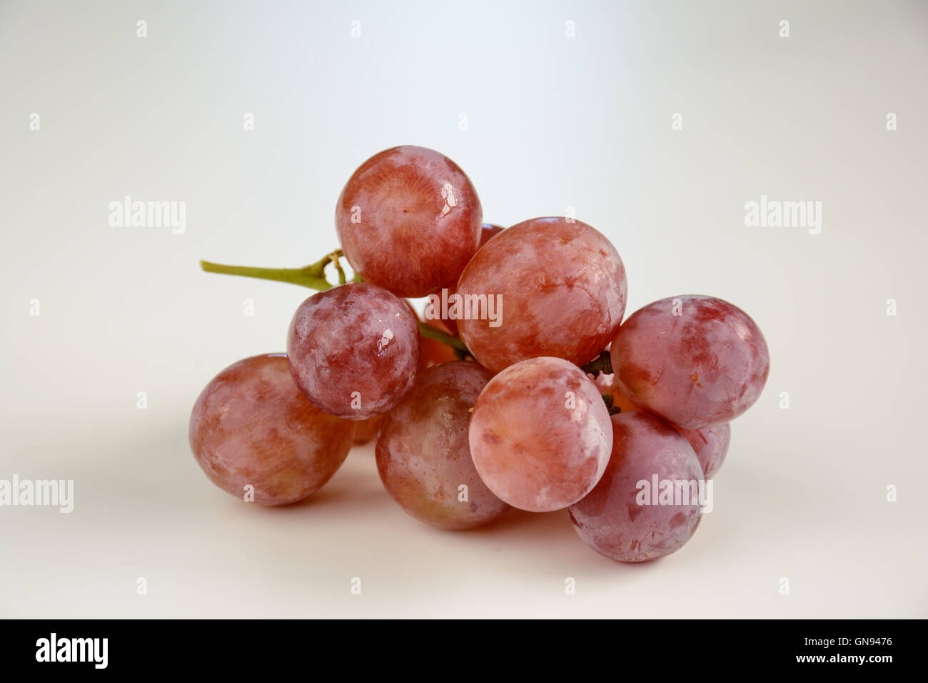 Light Room Shoot of Close Up Grape Stock Photo - Alamy