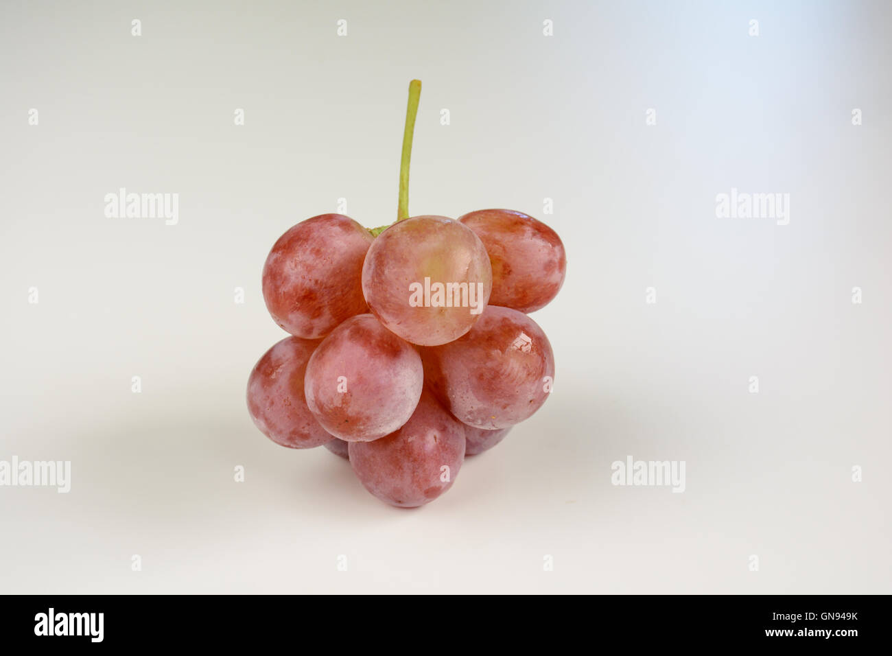 Light Room Shoot of Close Up Grape Stock Photo - Alamy