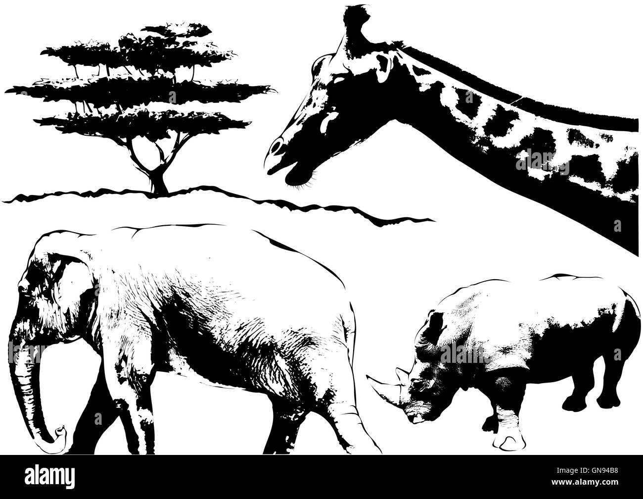 African Animals Sketch Stock Vector Image & Art - Alamy