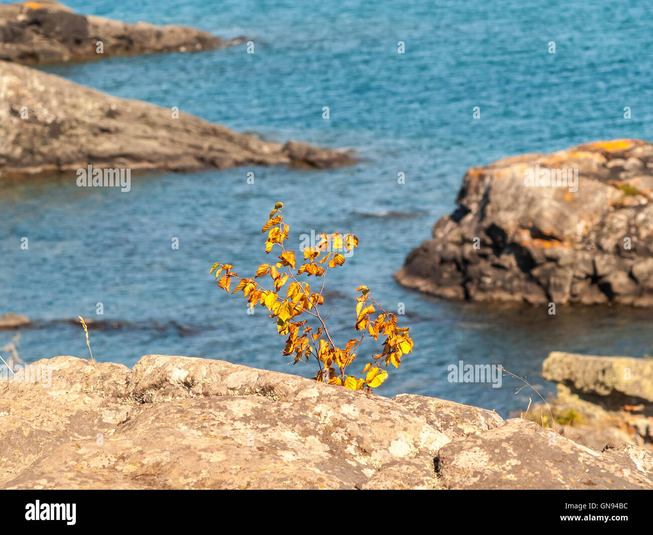 Rocky Shoreline and Water - Isle Royale National Park. Lake Superior ...