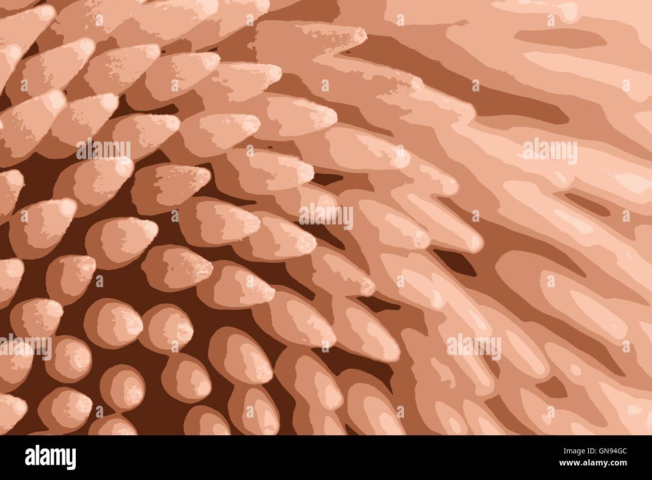 Toothpick and objects Stock Vector Images - Alamy