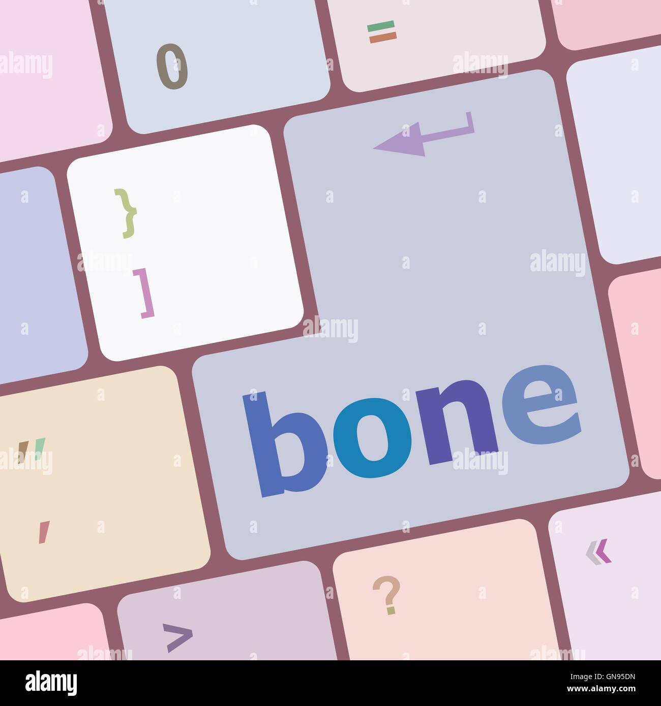 bone button on computer pc keyboard key vector illustration Stock ...