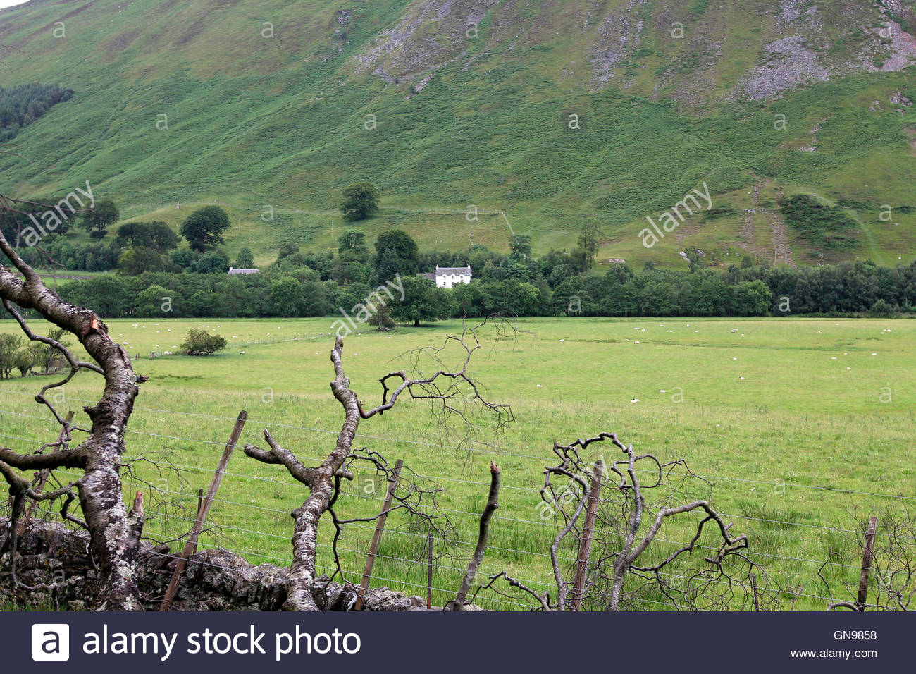 Bridge Glen Lyon High Resolution Stock Photography and Images - Alamy