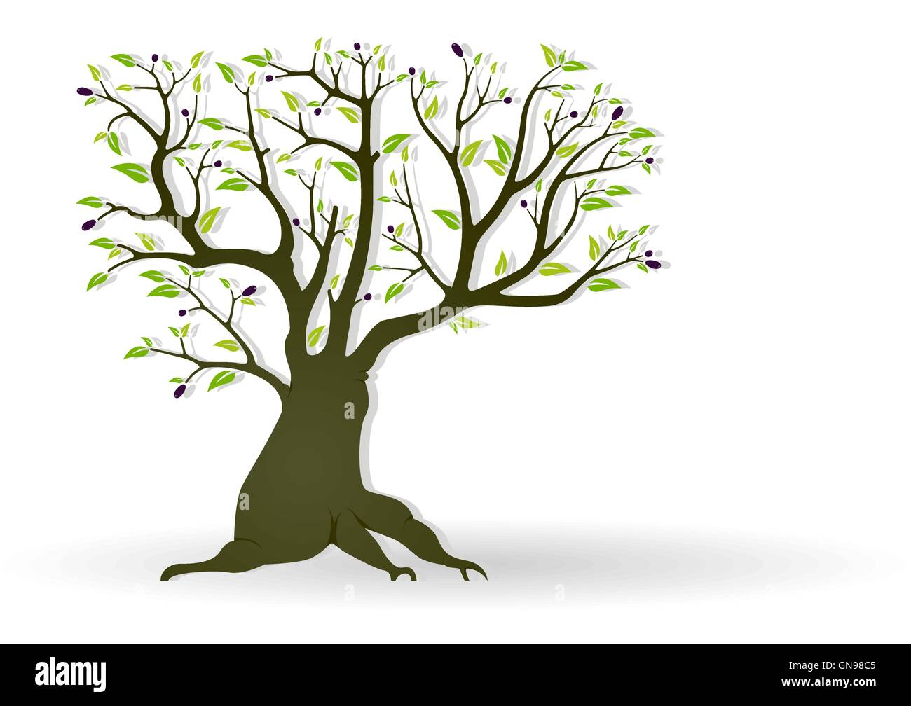 Olive tree vector hi-res stock photography and images - Alamy
