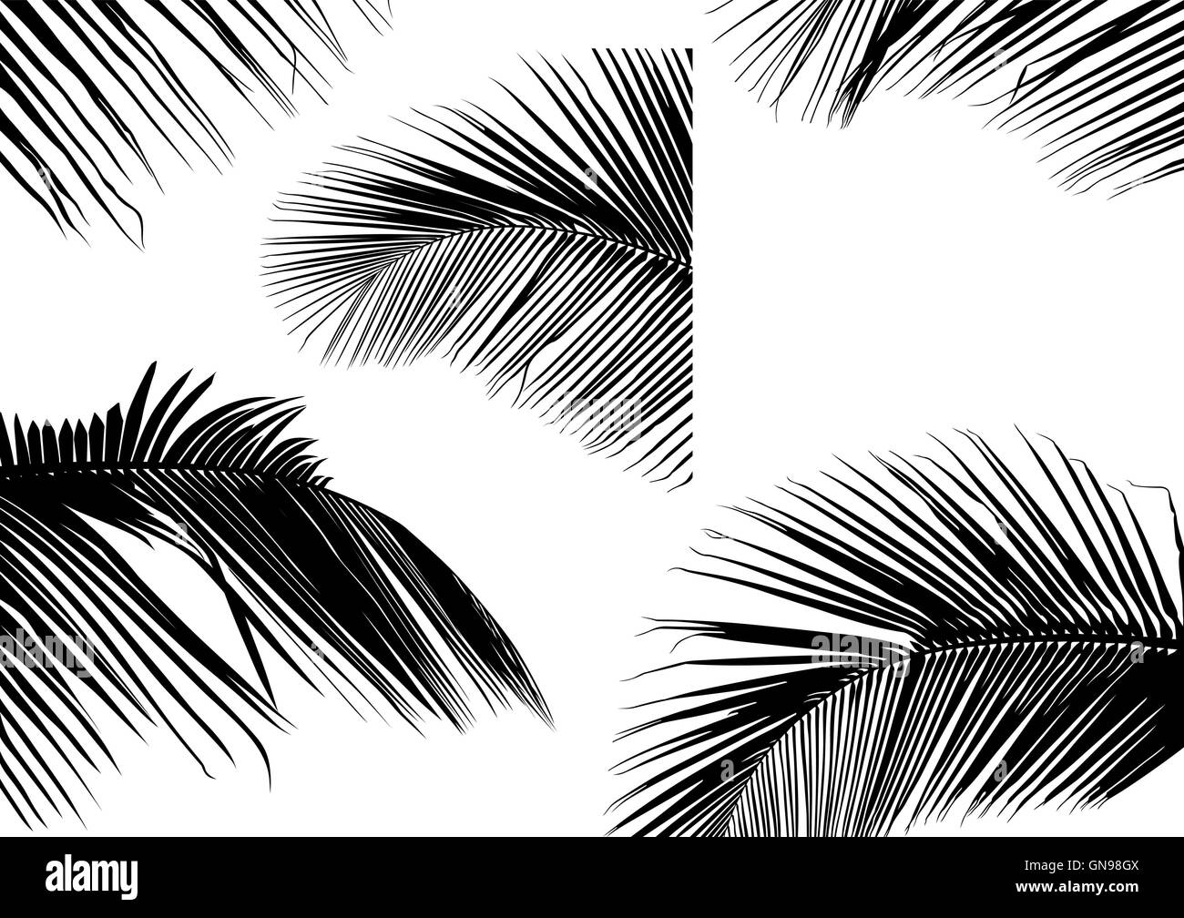 Palm Tree Leaves Vector