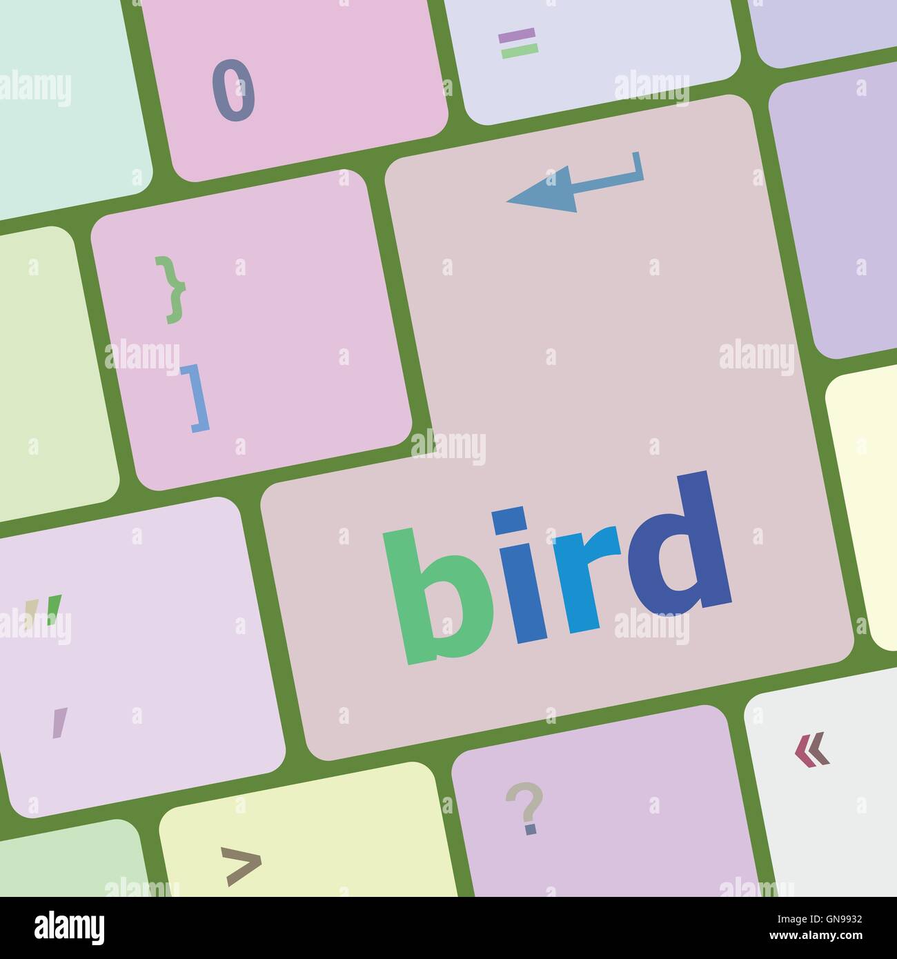 Button keyboard key, keypad with bird word vector illustration Stock ...