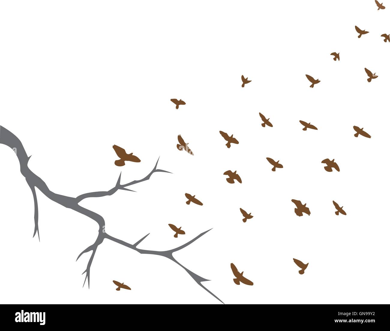 Animal collage Stock Vector Images - Alamy