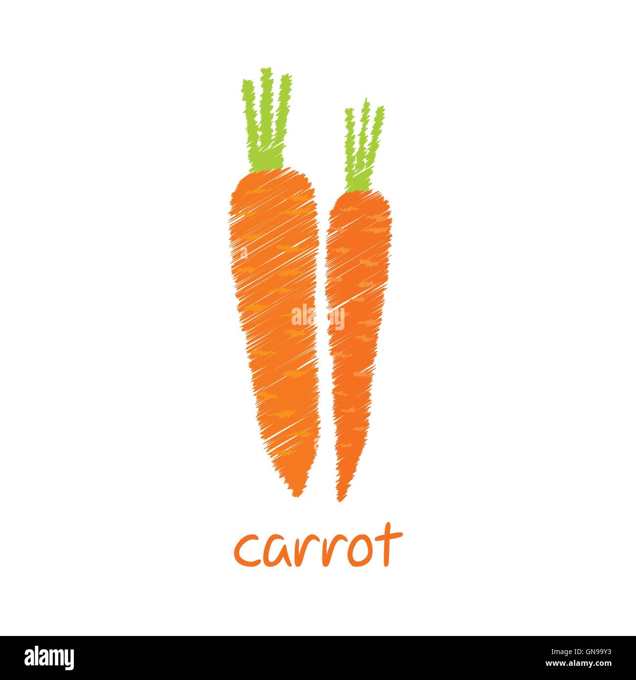 Fresh white carrot salad Stock Vector Images - Alamy