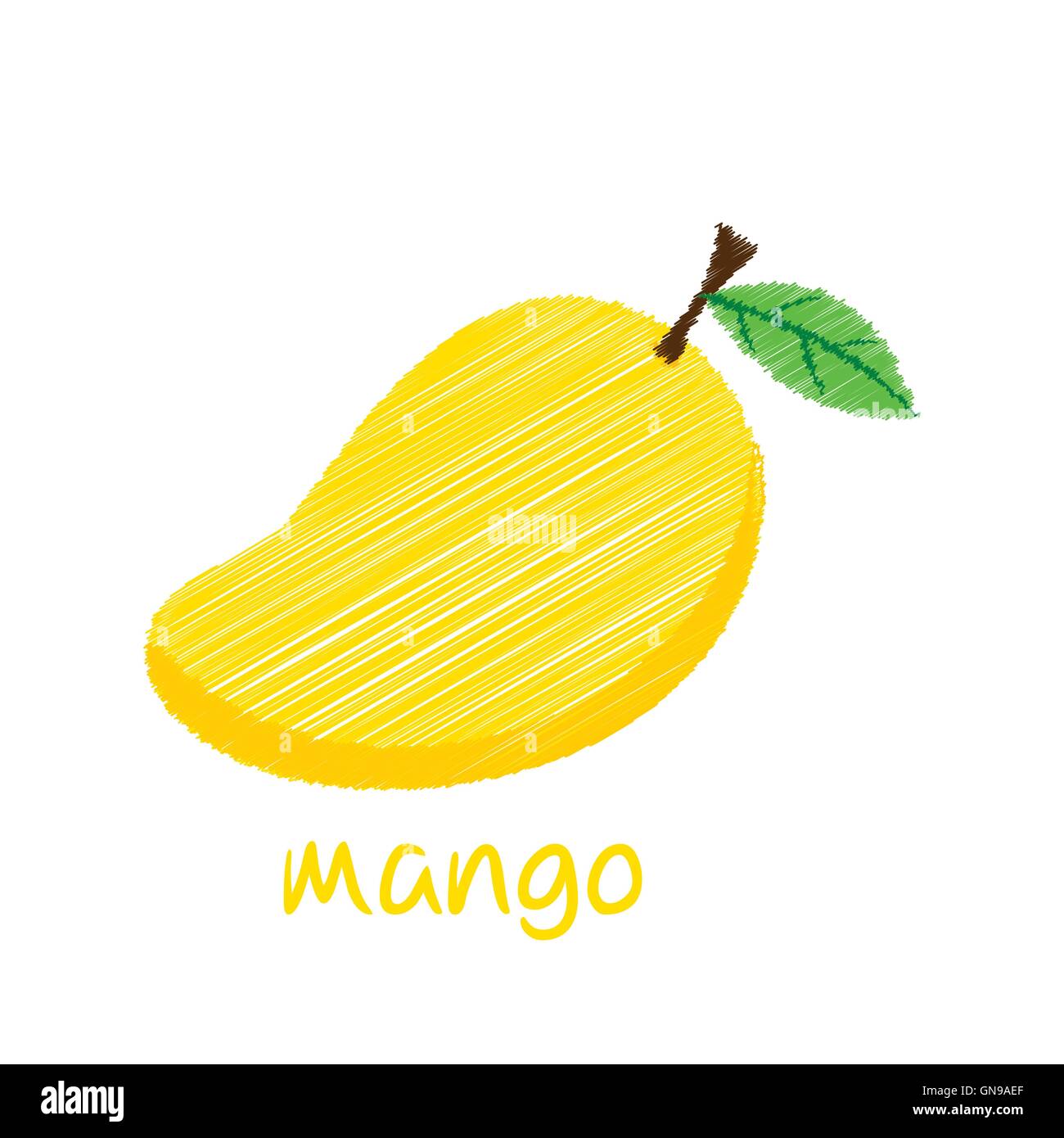 Mango Fruit Drawing