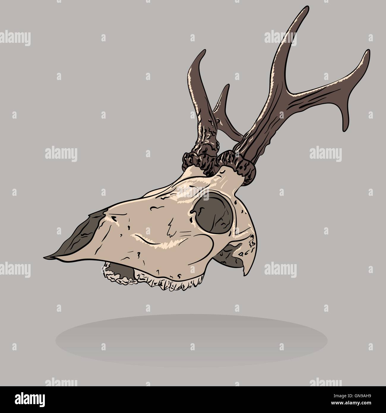 Goat profile vector hi-res stock photography and images - Alamy