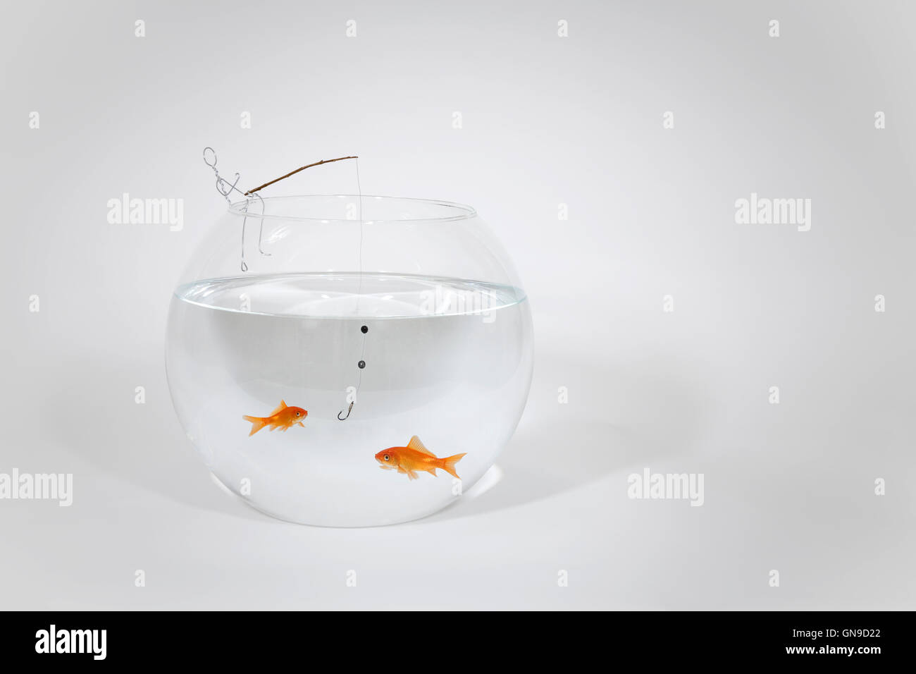 Fishing a goldfish Stock Photo - Alamy