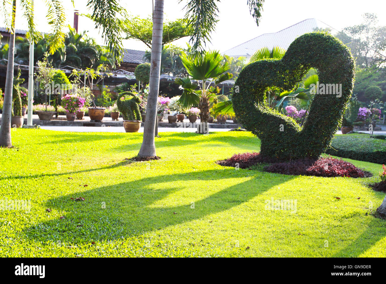 Green Heart Tree Stock Photo - Alamy