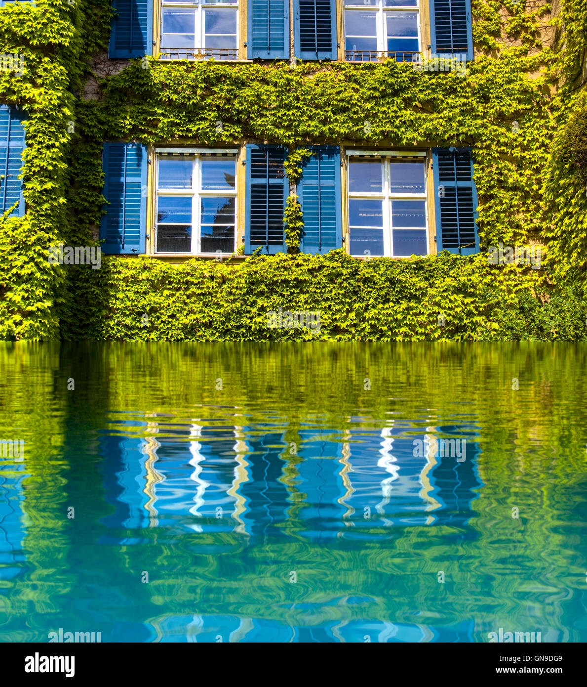 Environment concept, green house with reflection in water Stock Photo ...