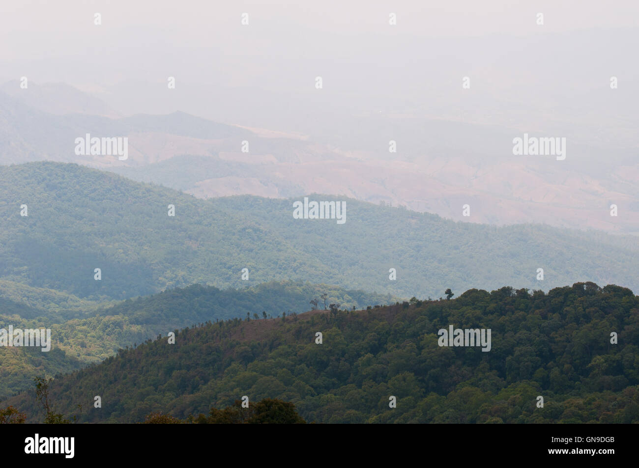 wild field at top of mountain Stock Photo - Alamy
