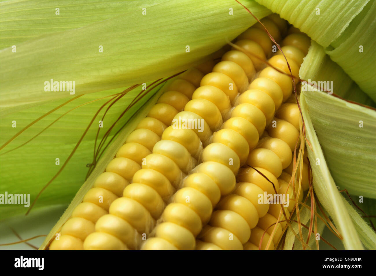 Cob of sweet corn Stock Photo - Alamy
