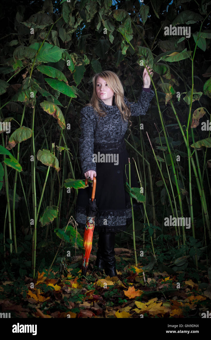 girl walk in enchanted forest Stock Photo - Alamy