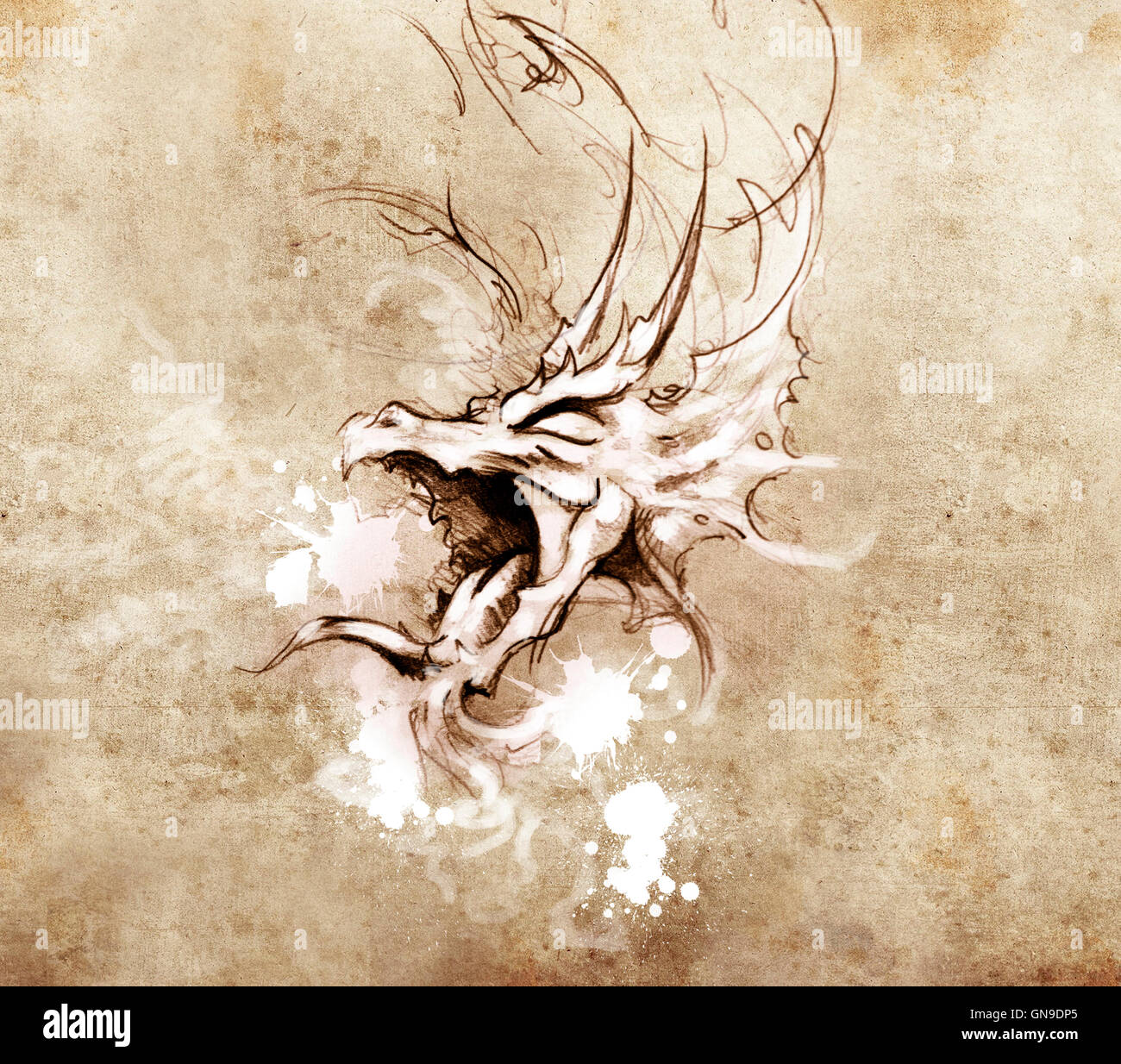 Sketch of a dragon head, tattoo drawing over vintage paper Stock Photo ...