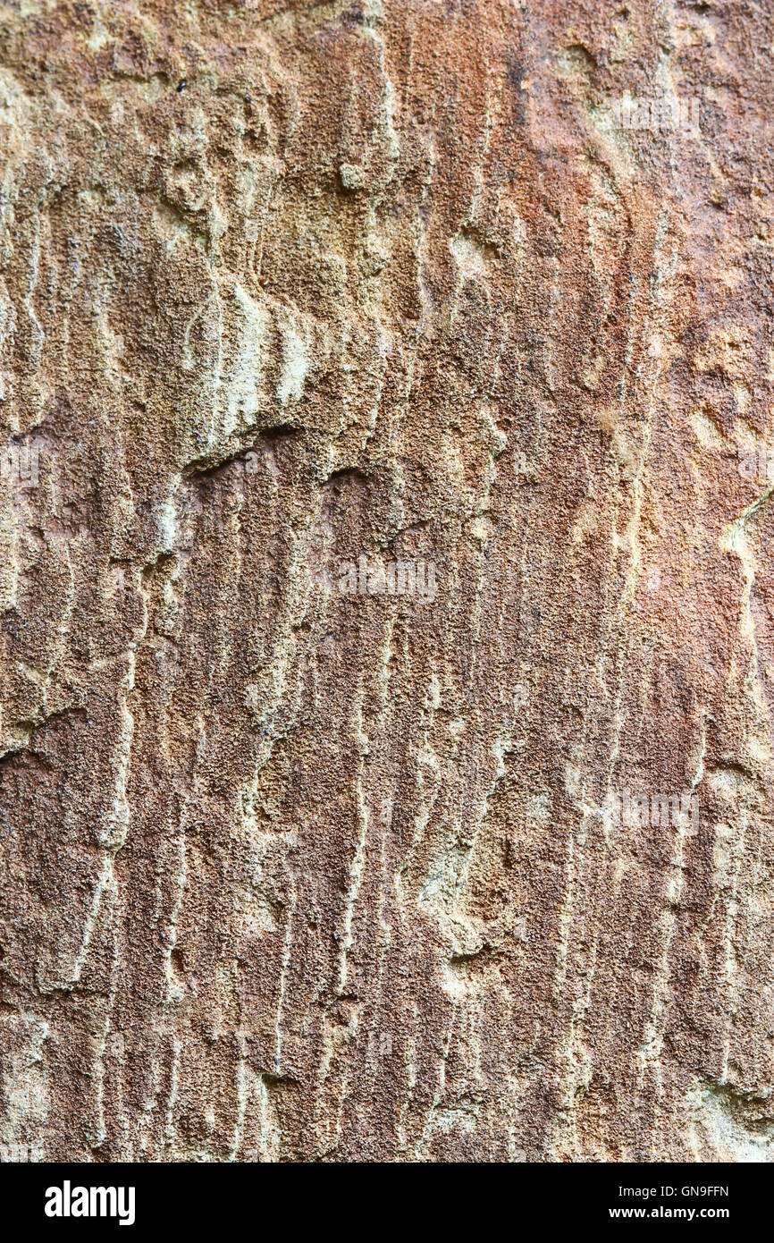 Seamless rock texture background closeup Stock Photo - Alamy