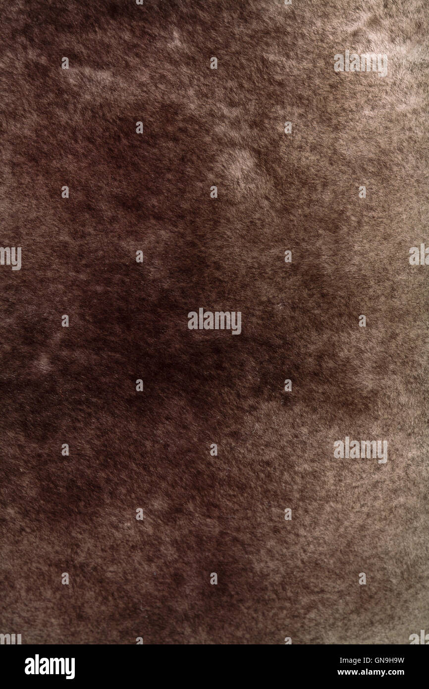 Abstract fur background hi-res stock photography and images - Alamy