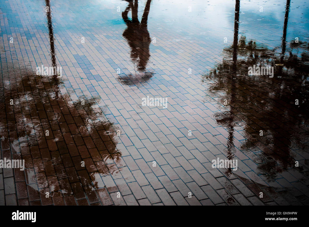 Couple with umbrella walking in reflection Stock Photo - Alamy