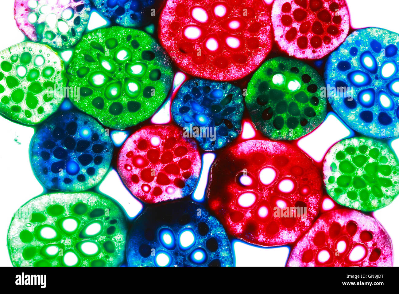 Lotus stem slice colorful closes ΓÇô up Stock Photo - Alamy