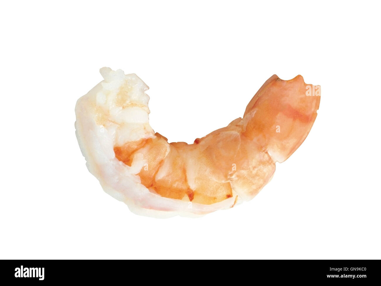 Closeup view of shrimp isolated Stock Photo - Alamy