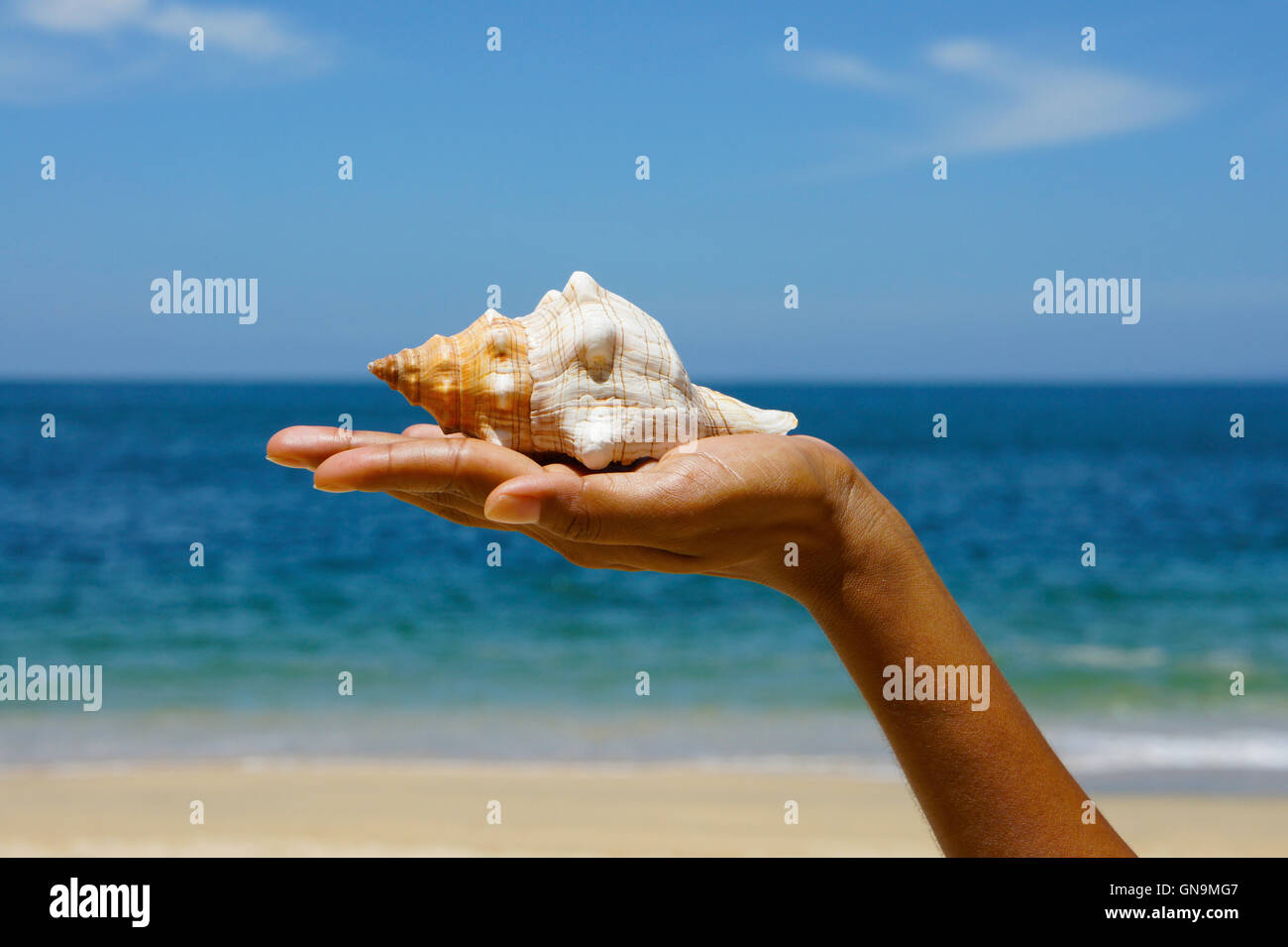 Salt water arm hi-res stock photography and images - Alamy