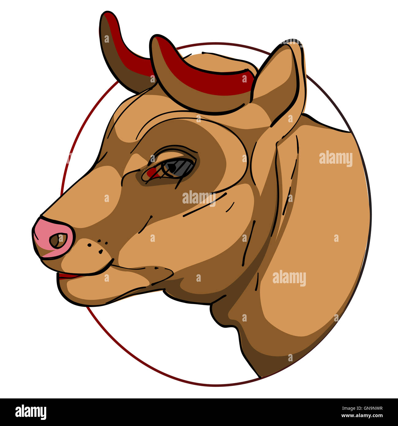 Bull head profile illustration hi-res stock photography and images - Alamy