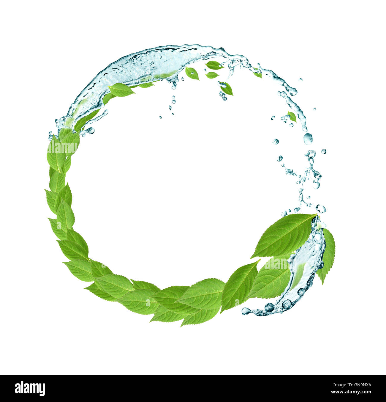 Leaves And Water Stock Photo - Alamy