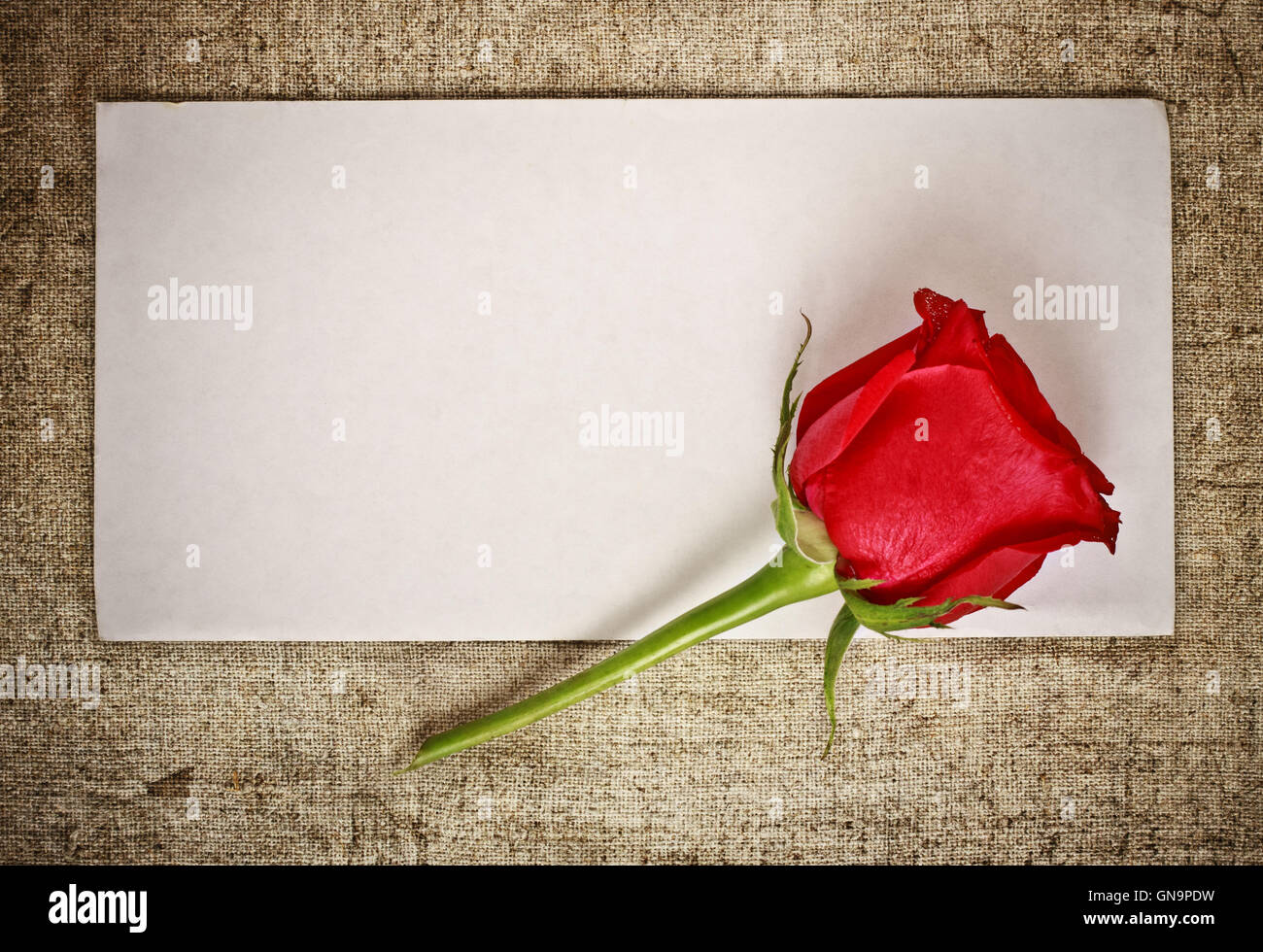 Red Rose and Letter Stock Photo - Alamy