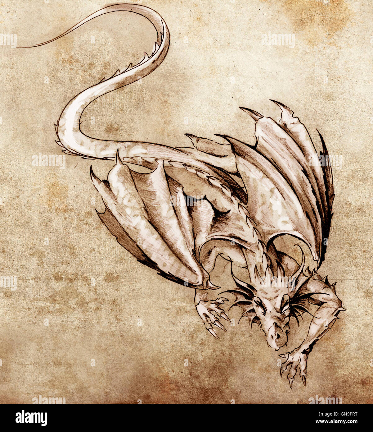 Sketch of tattoo art, modern dragon Stock Photo - Alamy