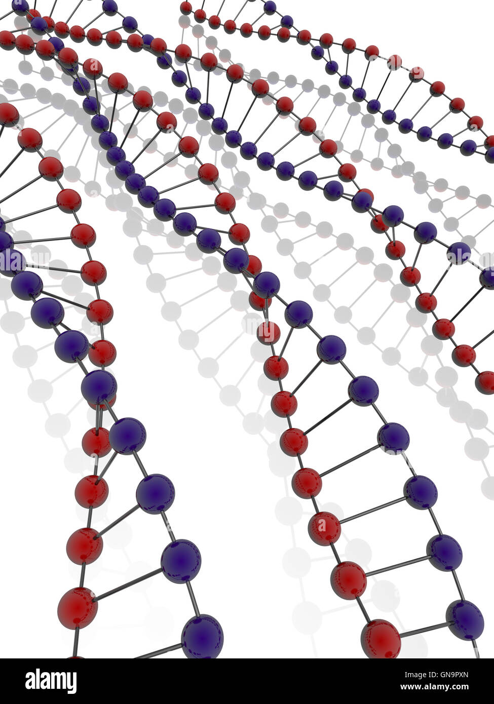 Square molecule dna hi-res stock photography and images - Alamy