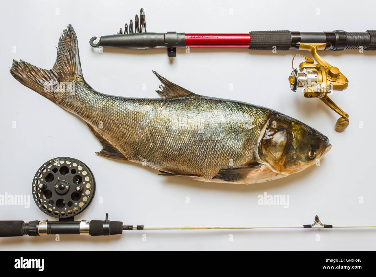 fish with rods and tackle Stock Photo - Alamy