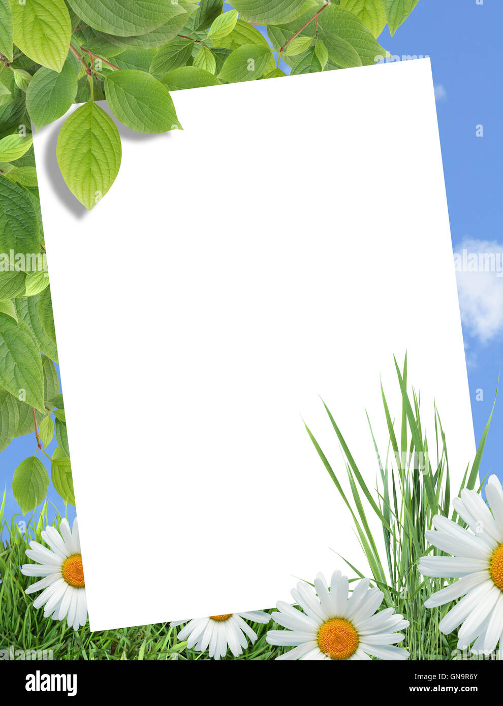 Greeting card nature hi-res stock photography and images - Alamy