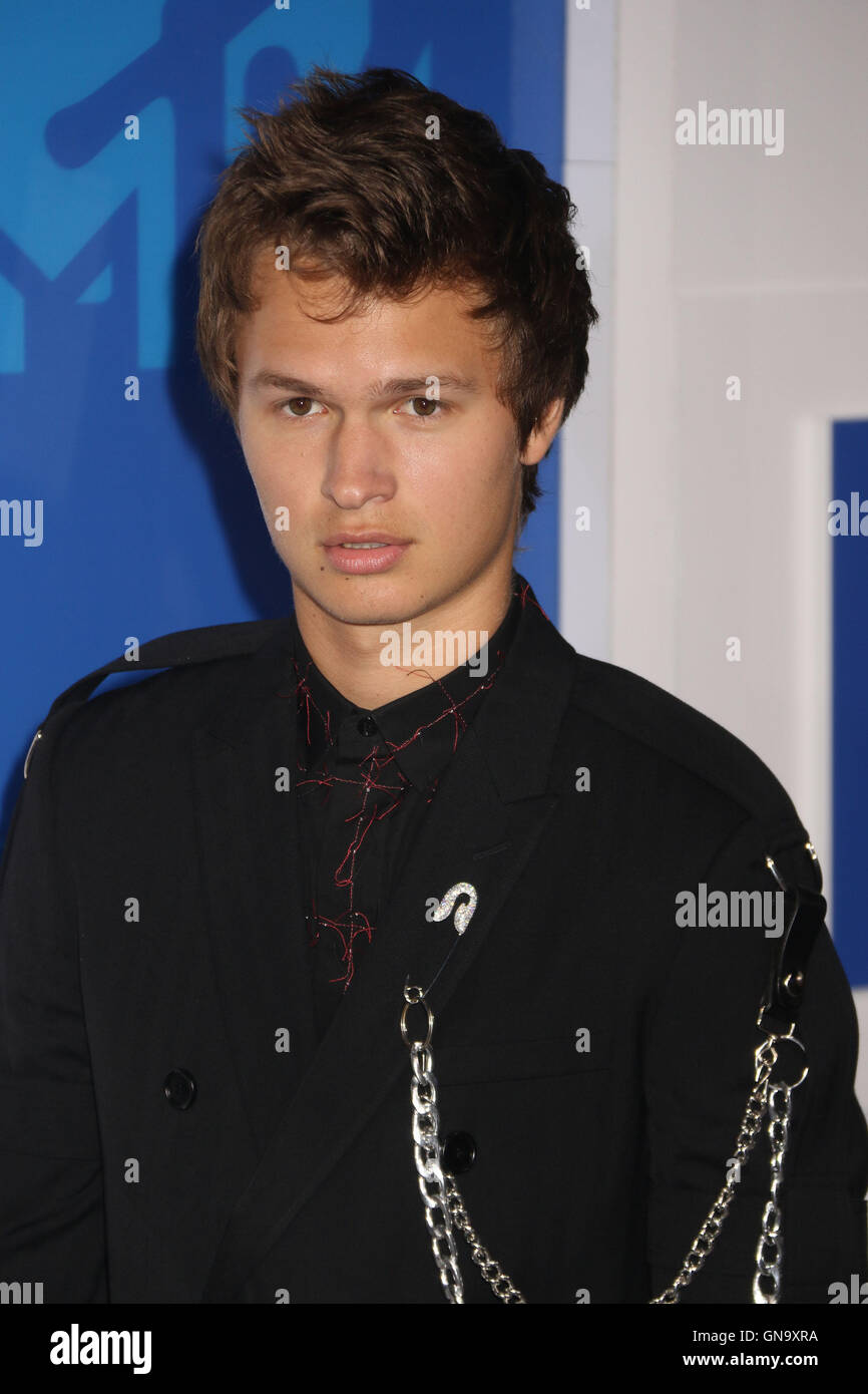 New York, New York, USA. 28th Aug, 2016. Actor ANSEL ELGORT attends the ...