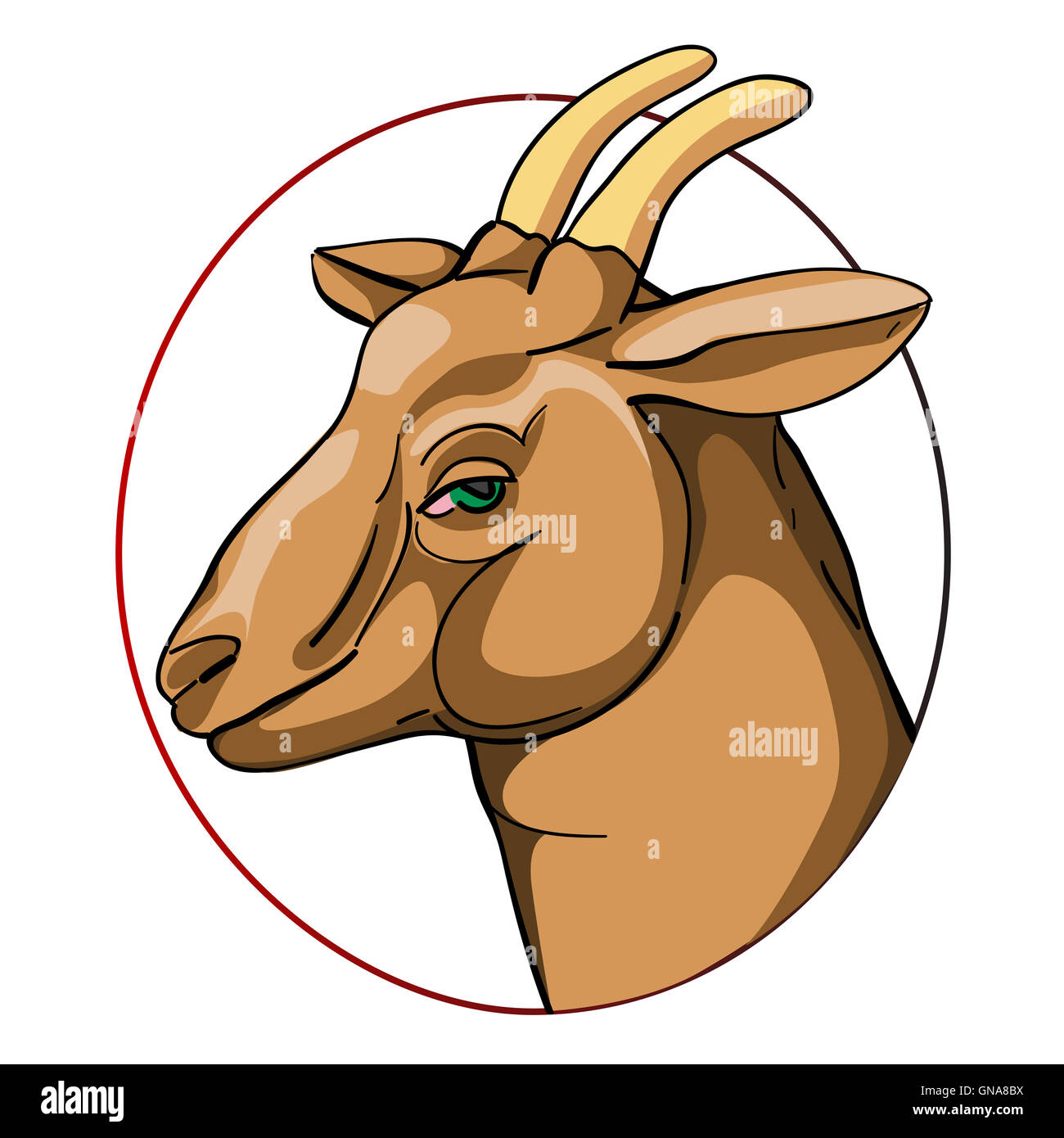 Smiling Sheep Cartoon High Resolution Stock Photography and Images - Alamy