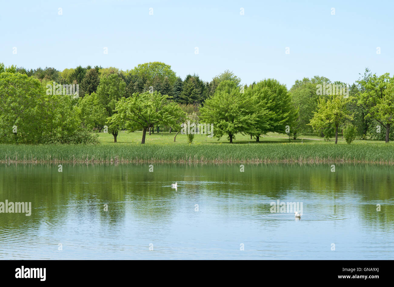 Bright fresh spring scenery hi-res stock photography and images - Alamy