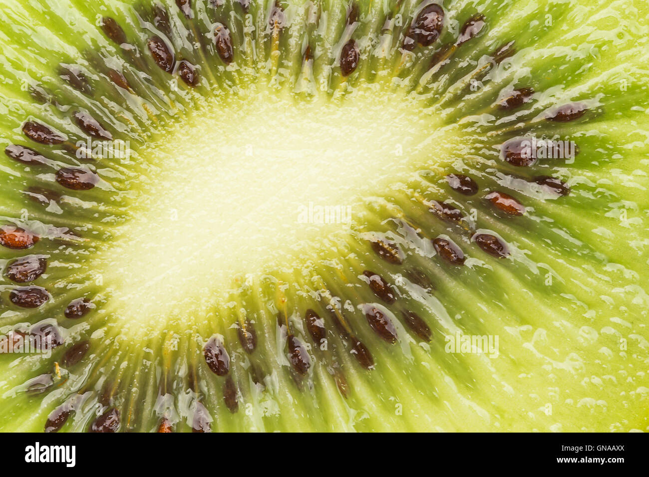 Close up slice kiwi fruit, Kiwi fruit texture background Stock Photo ...