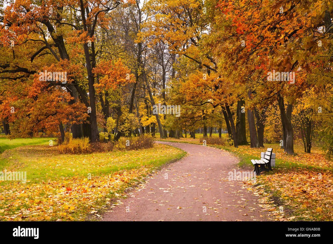 autumn in park Stock Photo - Alamy
