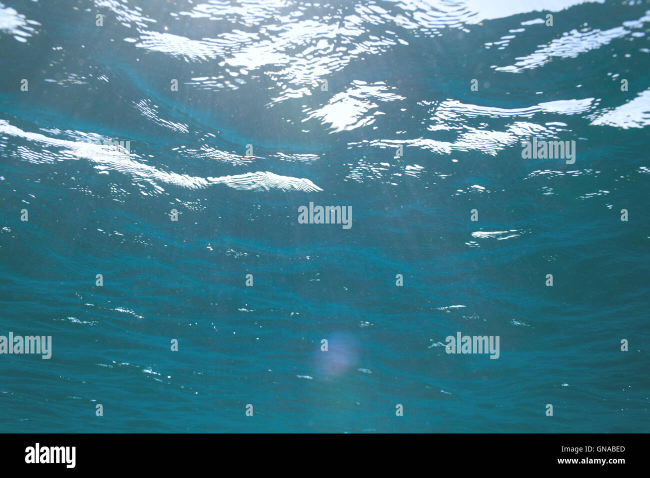 background of sunlight in water Stock Photo - Alamy