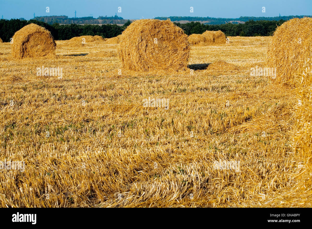 Yellow haystacks hi-res stock photography and images - Alamy