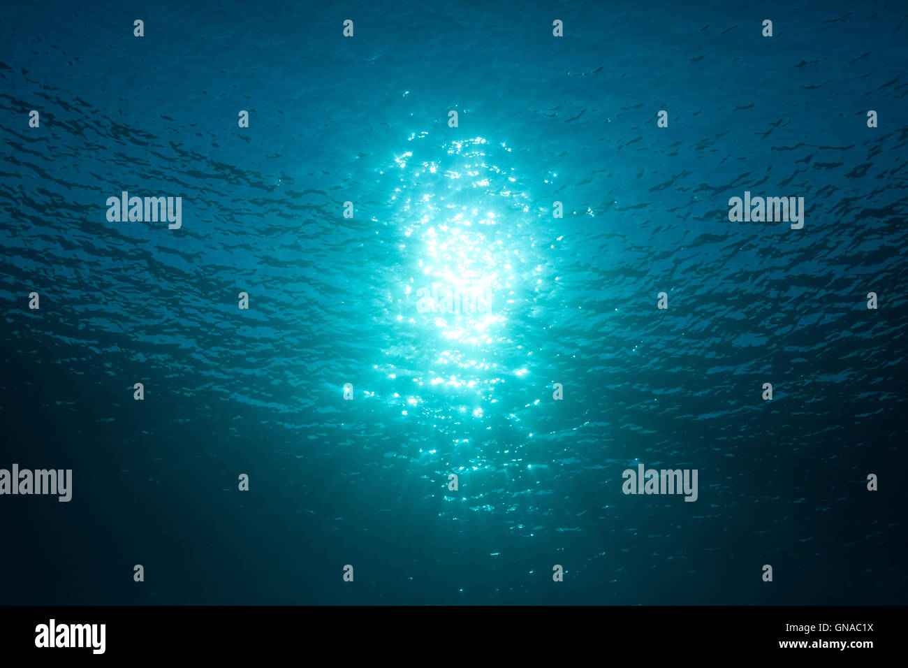 light in the deep water Stock Photo - Alamy