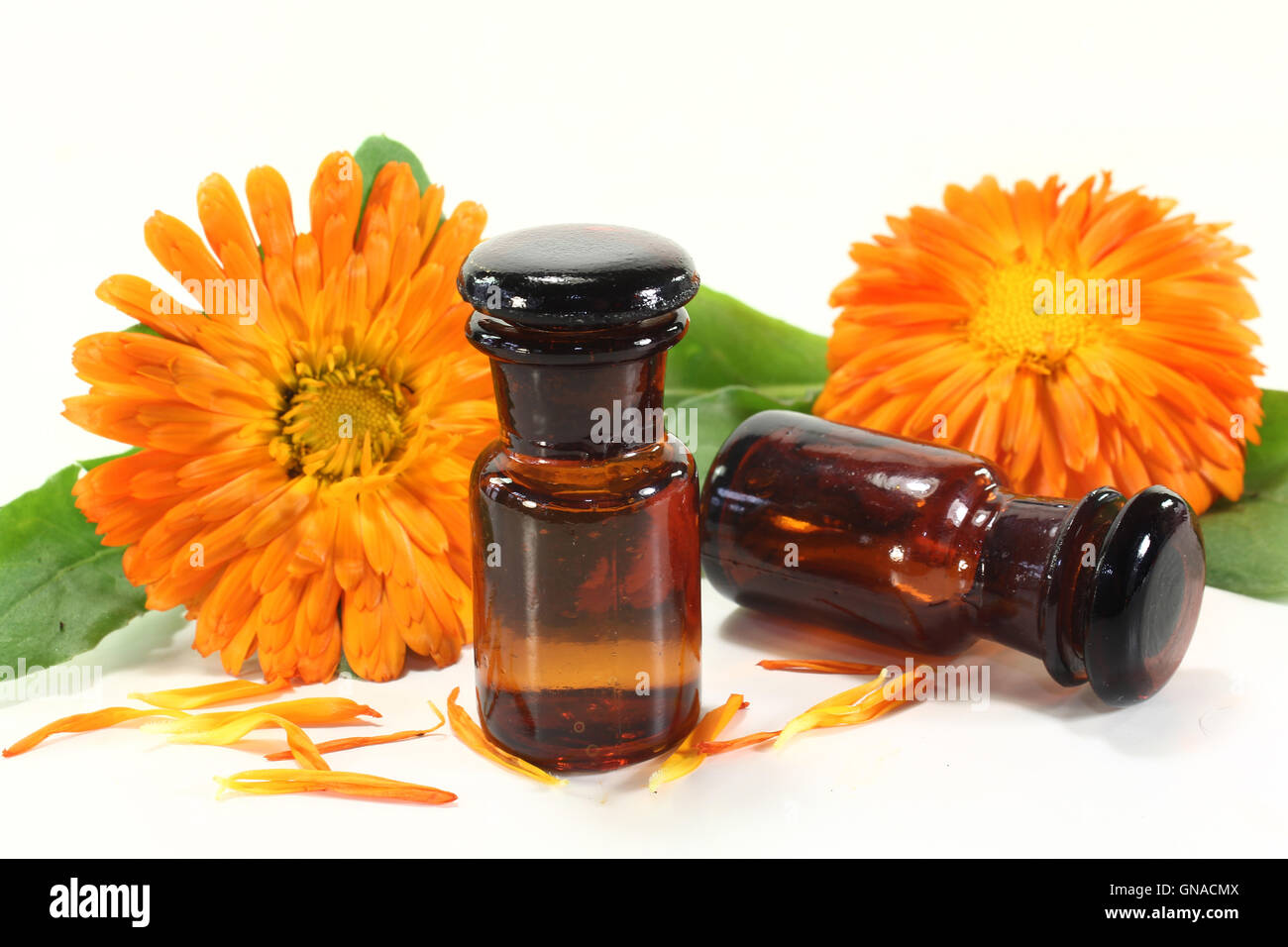 Marigold cosmetics hi-res stock photography and images - Alamy
