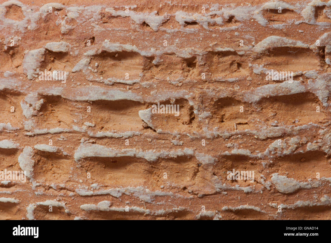 rectangular groove pattern on baked clay Stock Photo - Alamy
