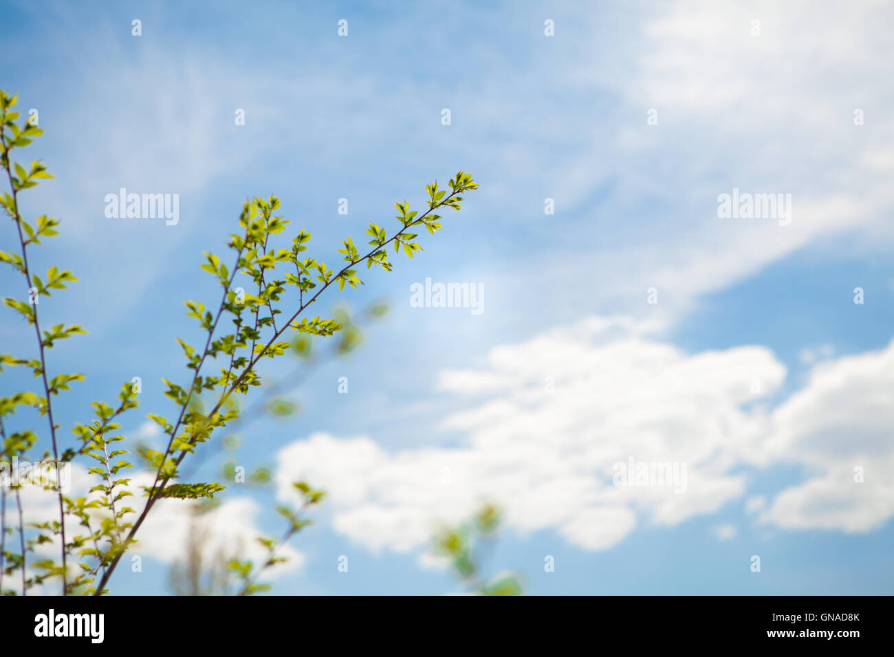 background of spring sky Stock Photo - Alamy
