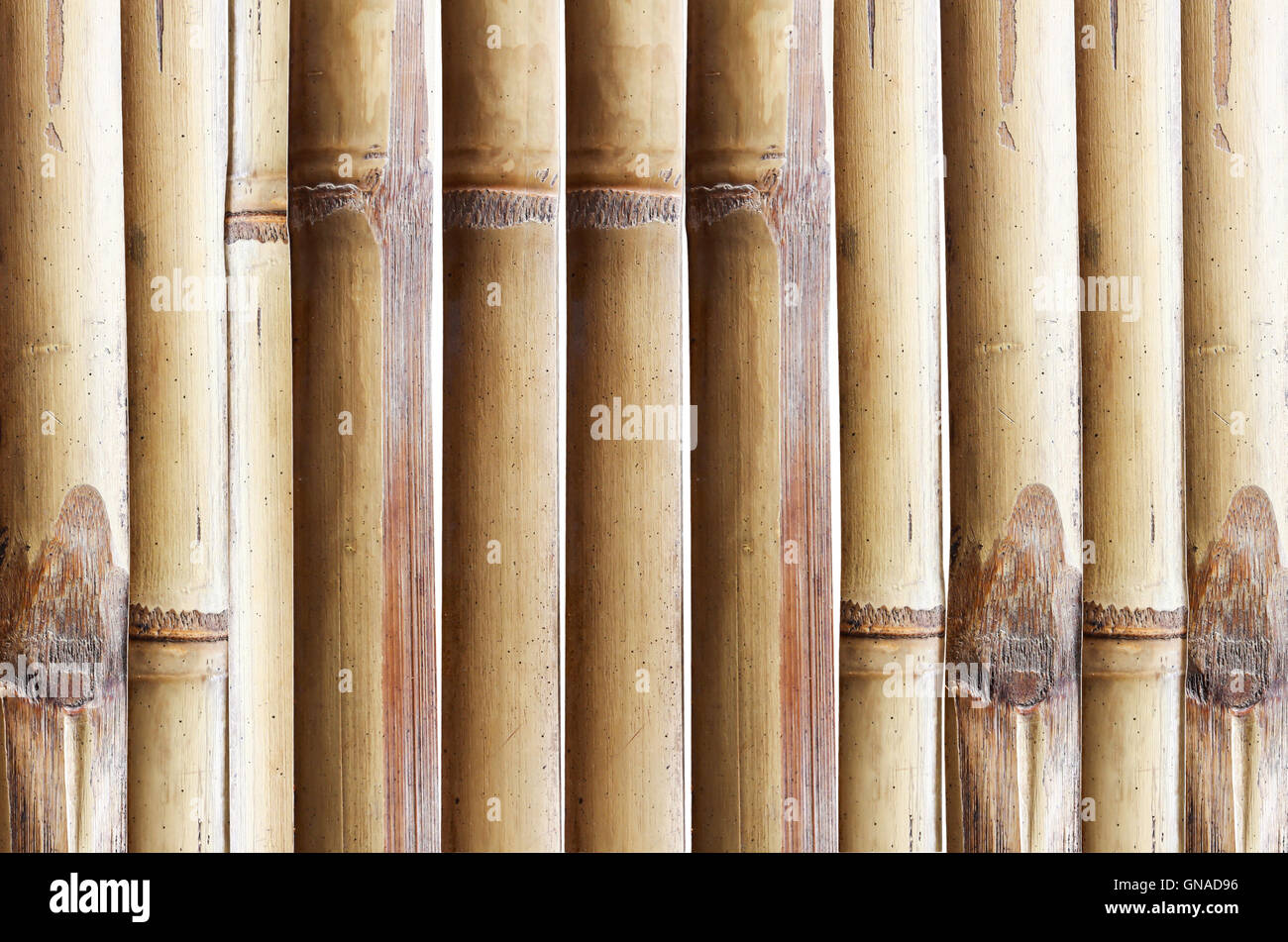 bamboo wall texture , closes ΓÇô up Stock Photo - Alamy